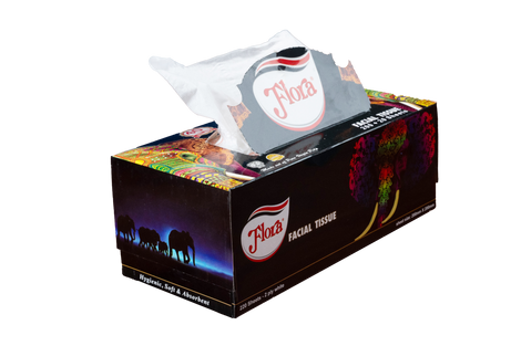 FLORA TOILET PAPER ROLL 2PLY 310 SHEETS - TEN PACK – FloraTissues